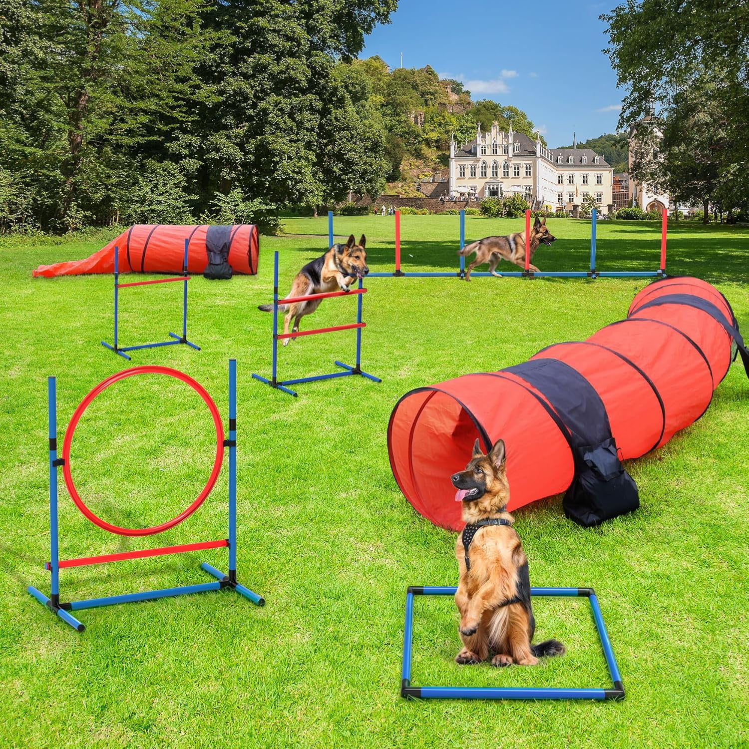 GFNXYI Dog Agility Training Equipments: Includes Flirt Pole Accessorie ...