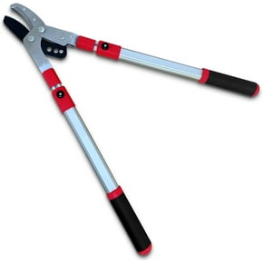 Long Handled Tree Trimmers