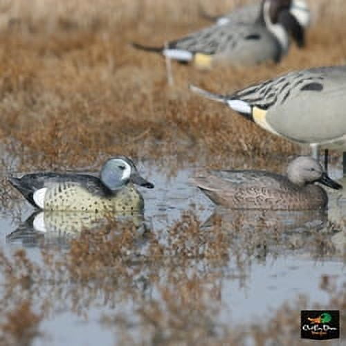 GHG Decoy Systems Life-Size Blue Winged Teal Duck Decoys, 6 Pack ...