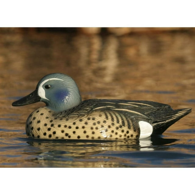 GHG Decoy Systems Life-Size Blue Winged Teal Duck Decoys, 6 Pack ...