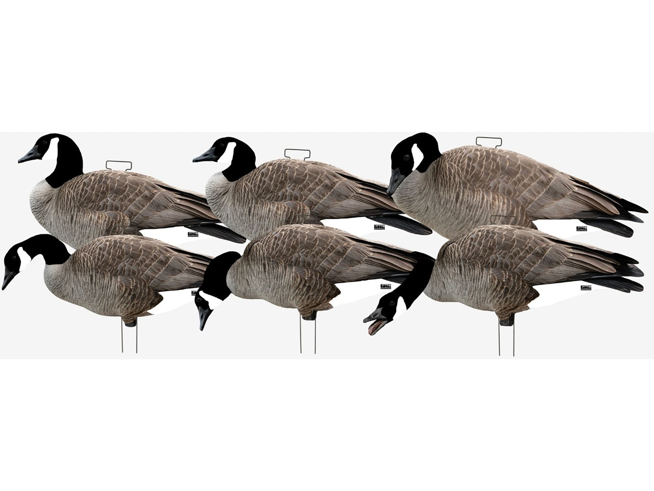 GHG Pro Grade Canada Goose Silhouette Decoys, Flocked Heads, Durable 12 ...