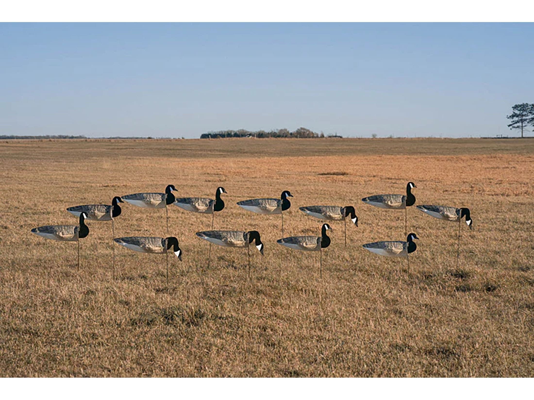 GHG Pro Grade Canada Goose Sock Decoys - Walmart.com