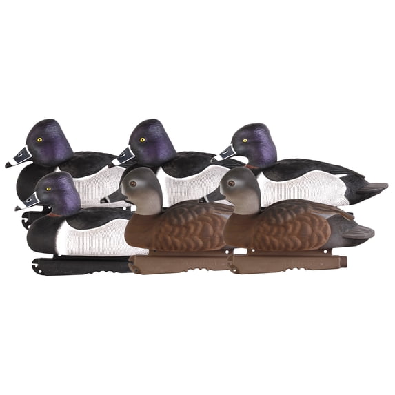 Avery Pro-Grade Ring-Necked Duck Decoys, 6 Pack, Foam Filled, Durable ...