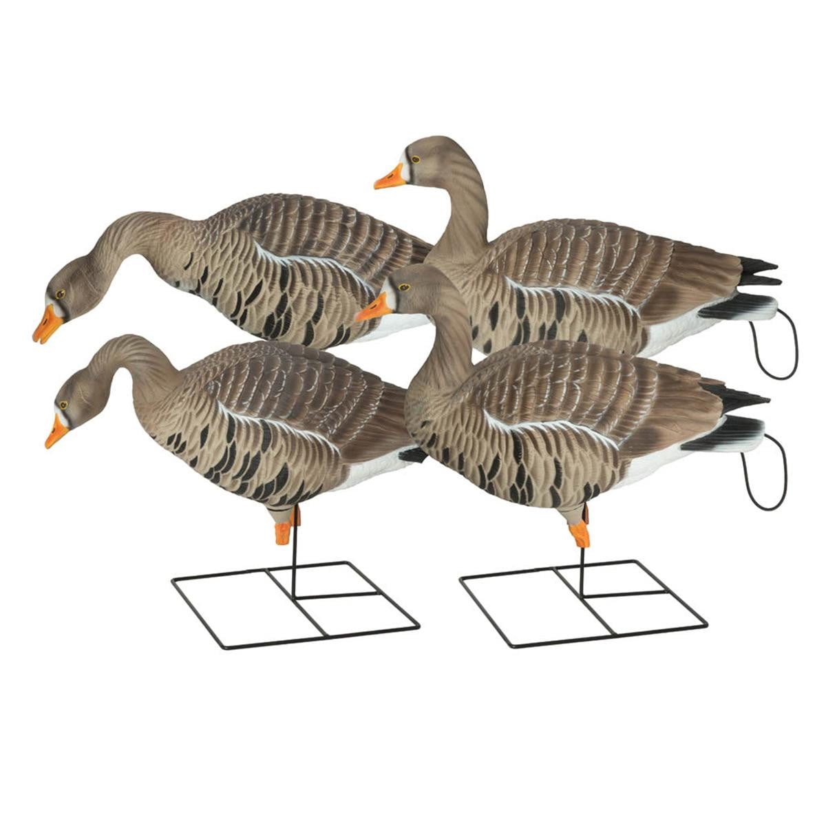 GHG Decoy Systems Pro Grade XD Specklebelly Harvester Decoys, 4 Pack ...