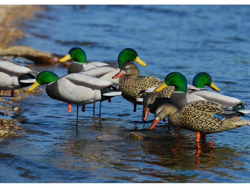 GHG FFD Elite Mallard Harvester Full Body Duck Decoy 6PK - Walmart.com