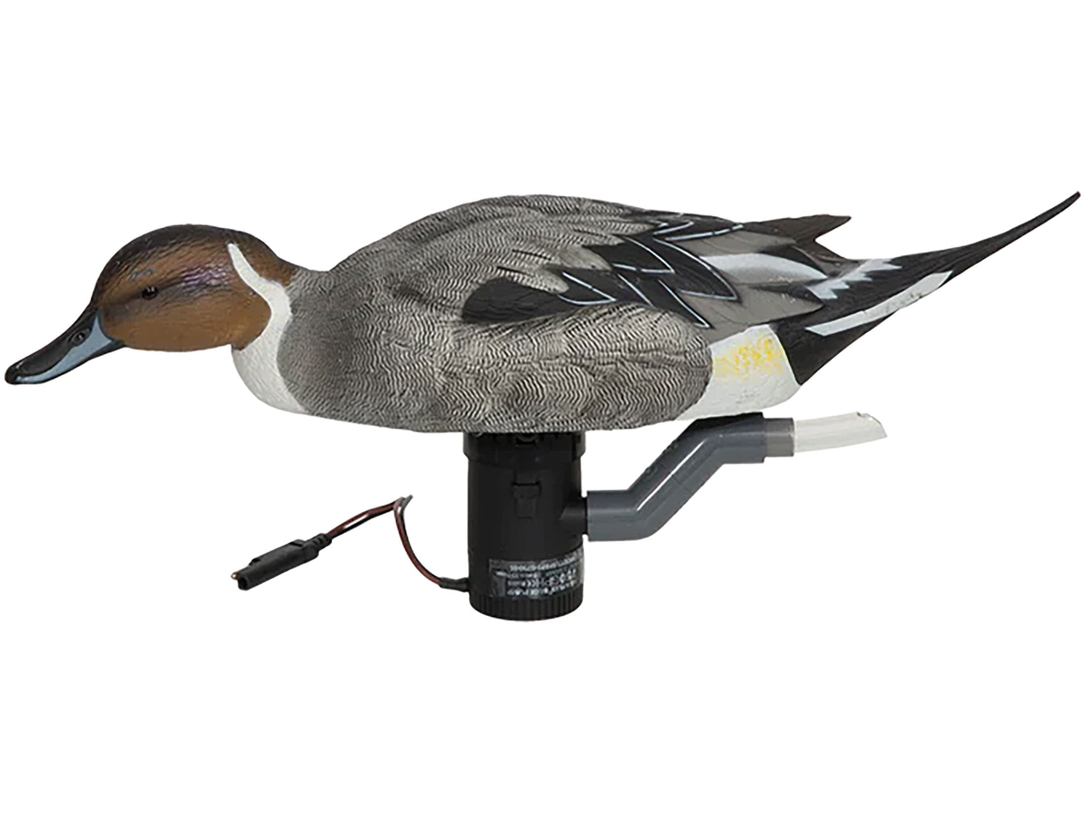 GHG Finisher Swimmer Pintail Drake Duck Decoy - Walmart.com