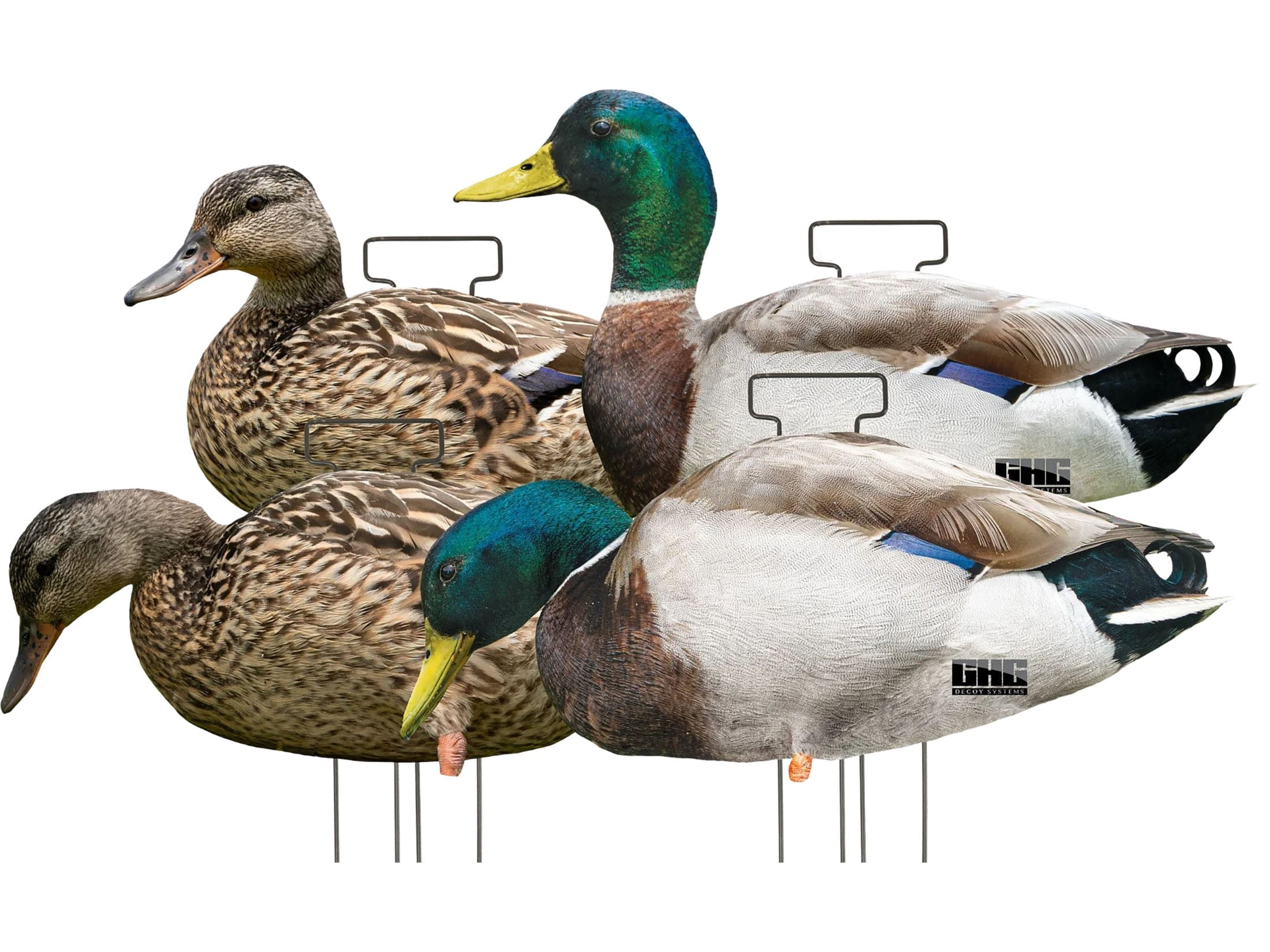 GHG Fully Flocked Silhouette Mallard Duck Decoys - Walmart.com