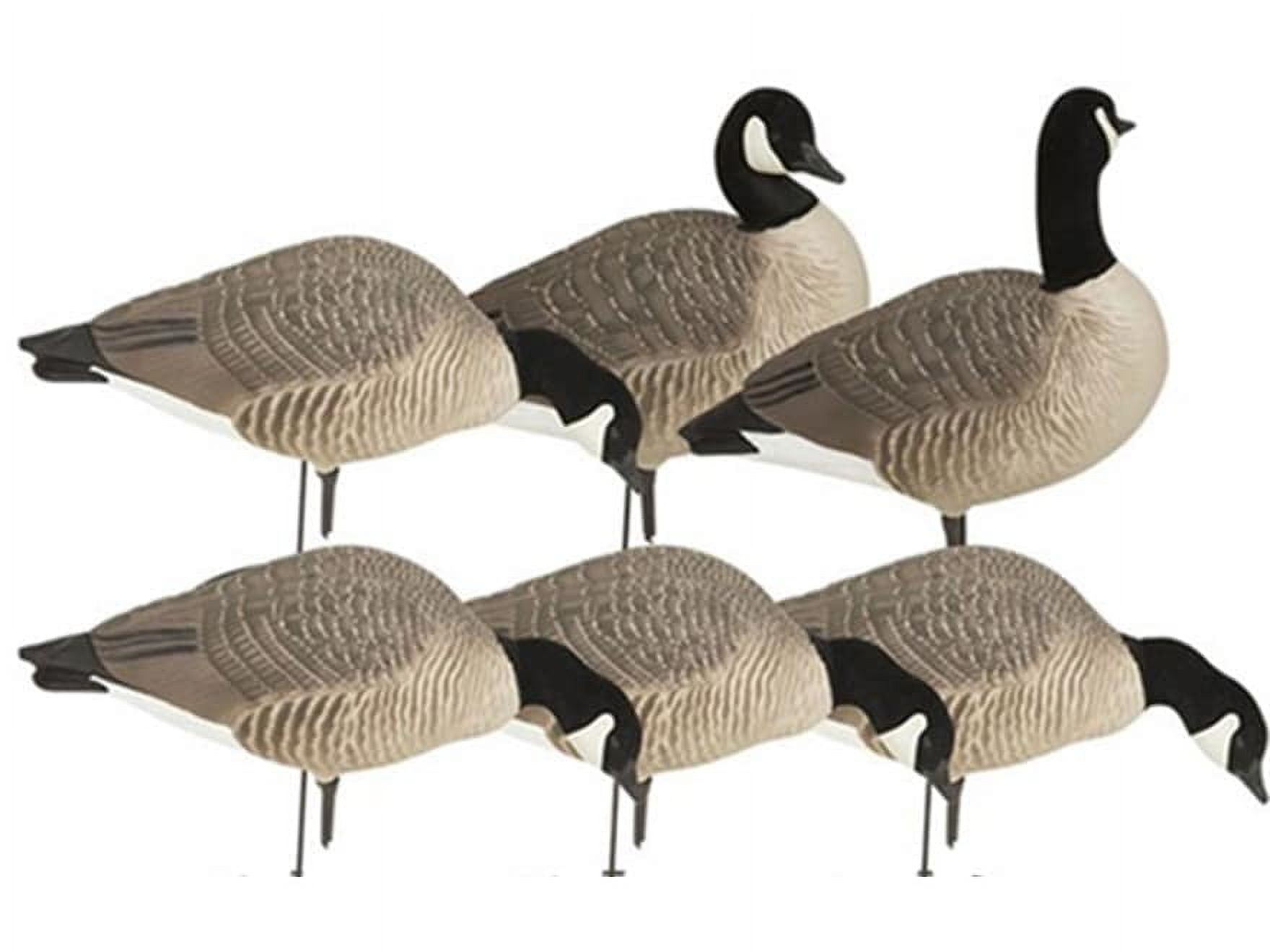 GHG Hunter Series Harvester Lesser Full Body Canada Goose Decoy 6PK ...