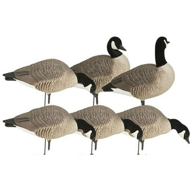 GHG Pro Grade XD Canada Goose Decoys - Harvester 4 Pack, Soft-bodied ...