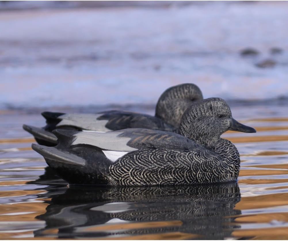 GHG Life Size Series Gadwall Duck Decoys - Walmart.com