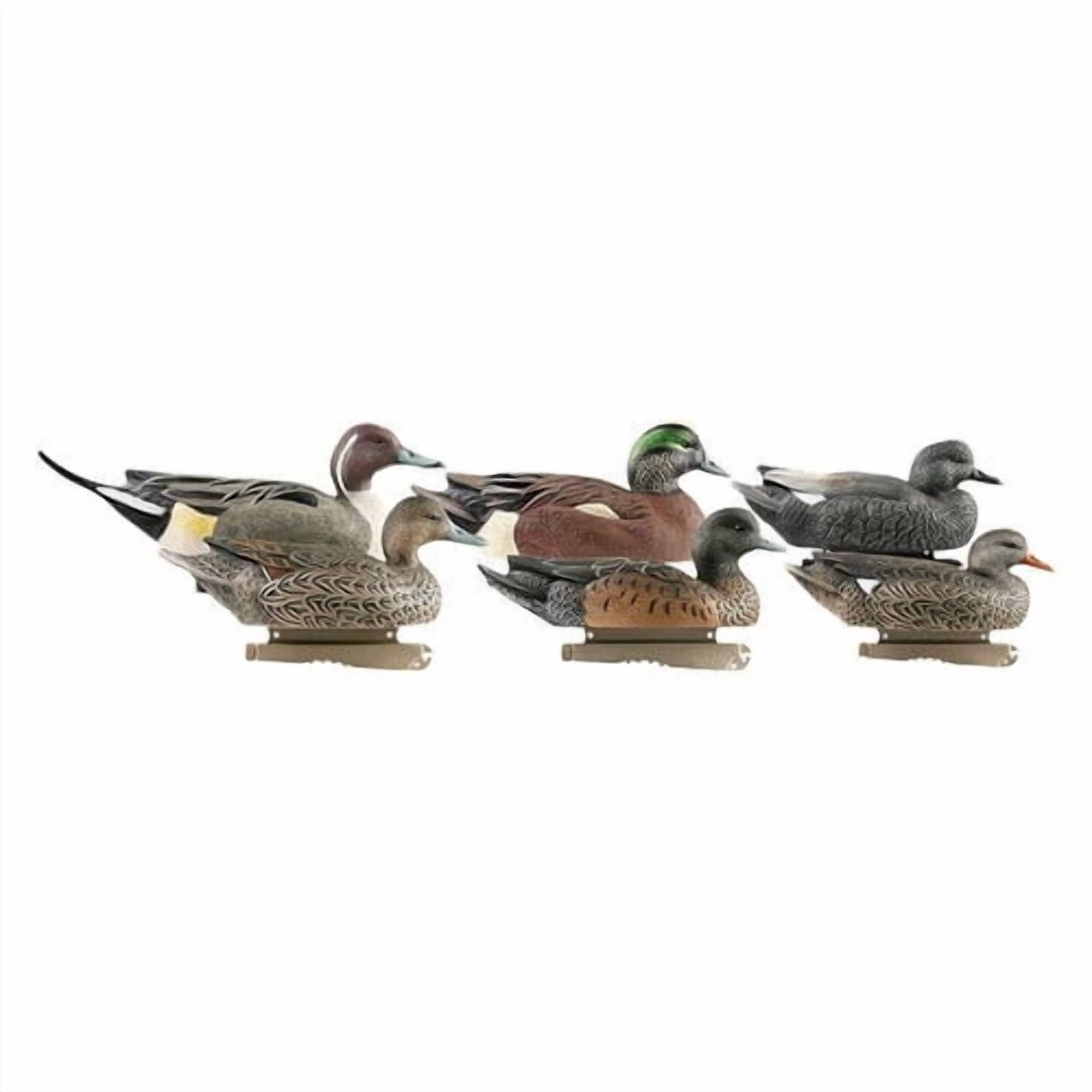 GHG Life Size Weighted Keel Duck Decoys, Pintails, Gadwall, Wigeon ...