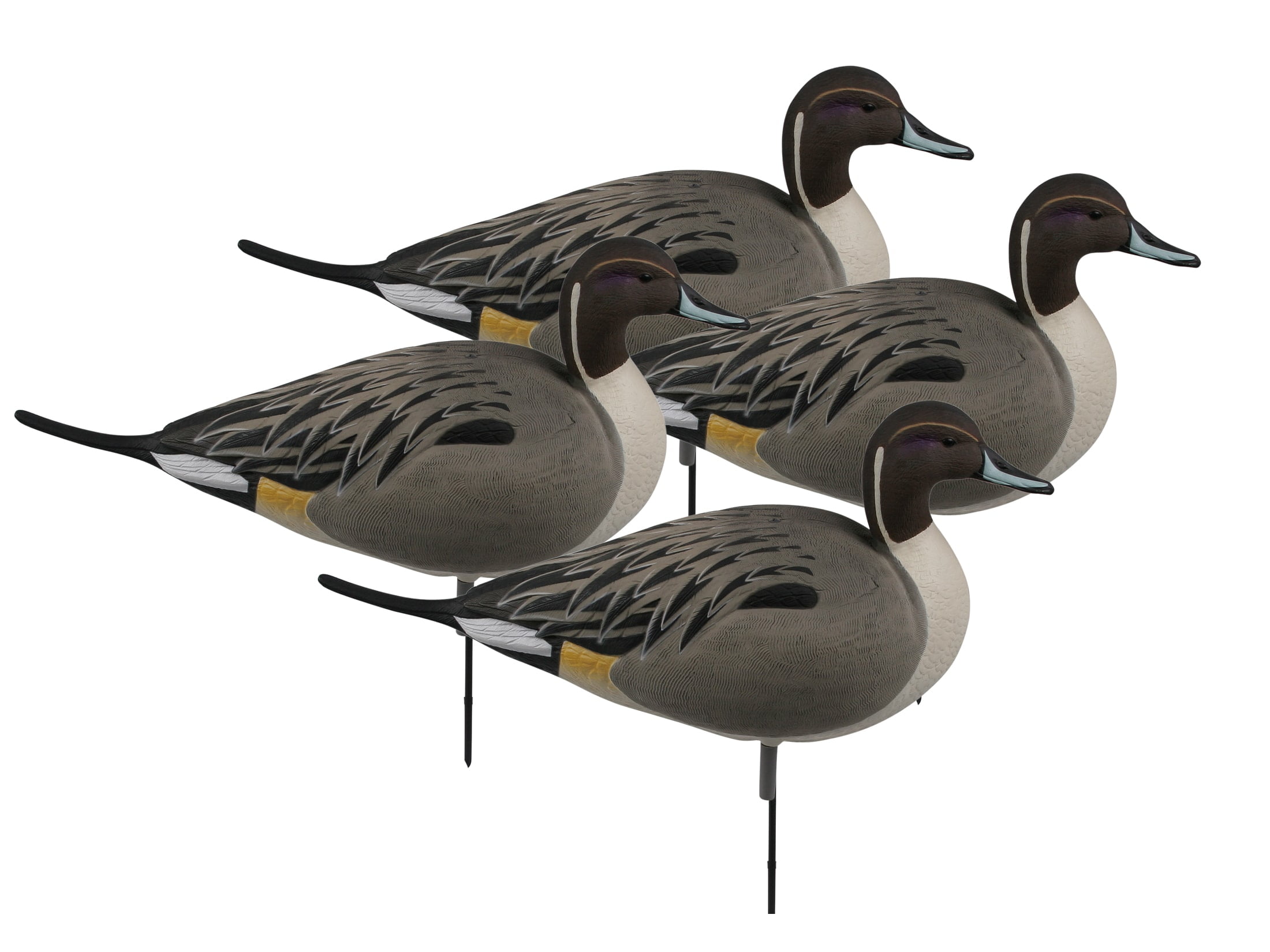 GHG Over-Size Active Pack Pintail Full Body Duck Decoy 4PK - Walmart.com