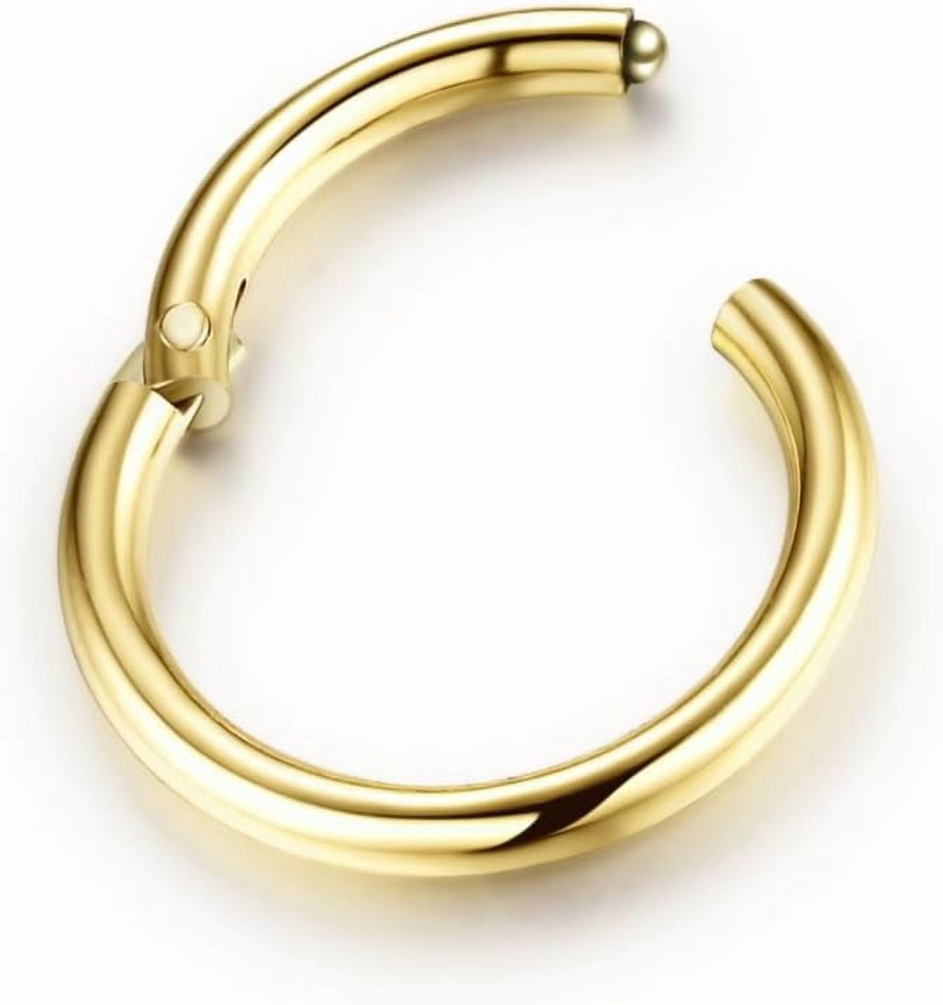 GHRTGR-Changgaijewelry 3Pairs Stainless Steel 16G Sleeper Tiny Hoop Earrings Septum Hinged Nose ...