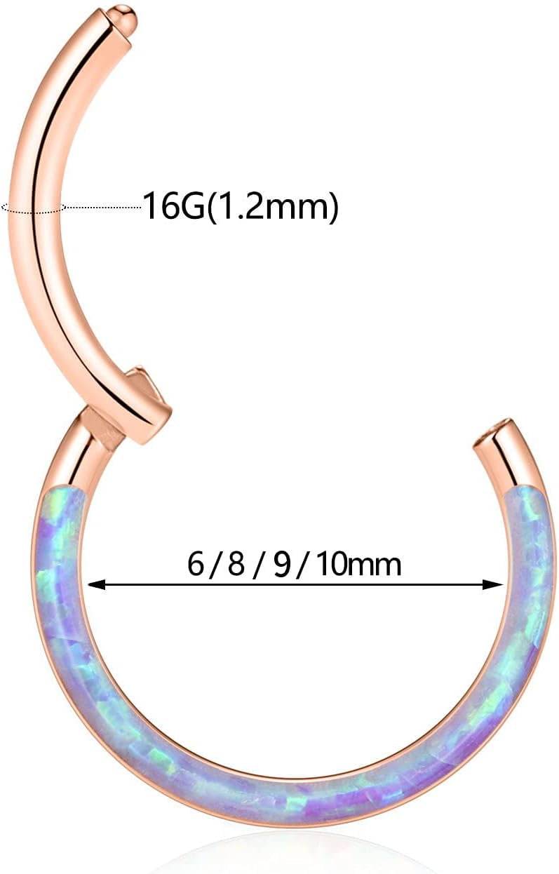 GHRTGR-Hinged Segment Ring Hoop Septum Clicker CZ 20G 18G 16G 14G 12G 6mm/7mm/8mm/9mm/10mm/12mm ...