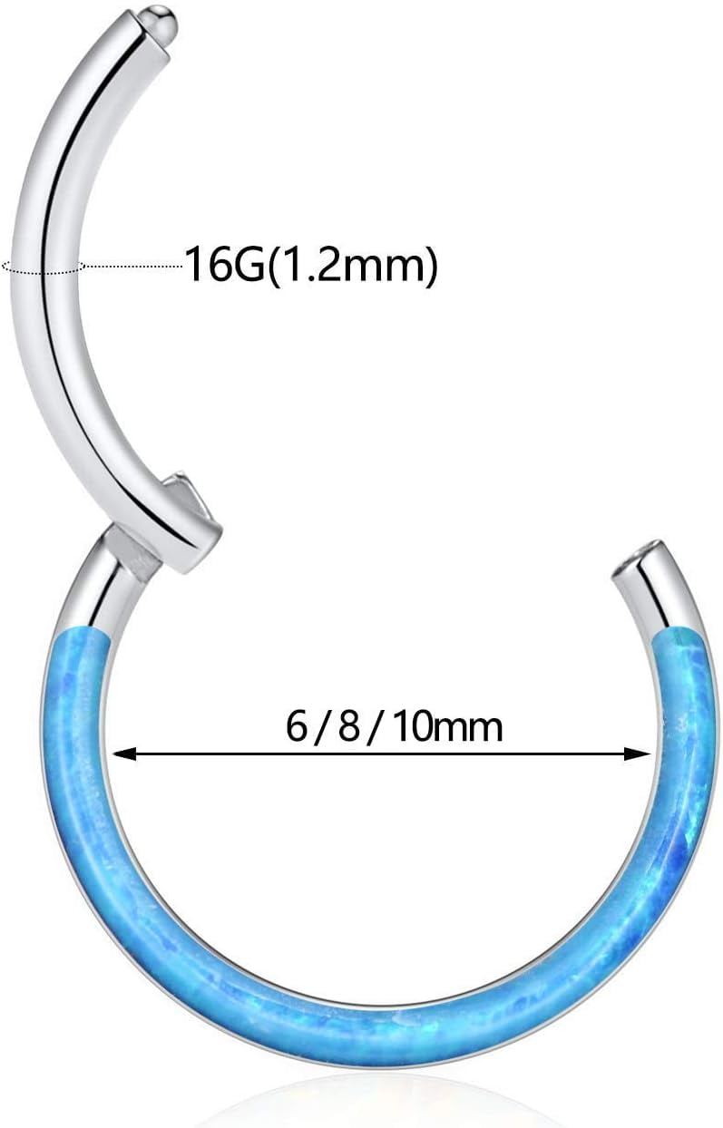 GHRTGR-Hinged Segment Ring Hoop Septum Clicker CZ 20G 18G 16G 14G 12G ...