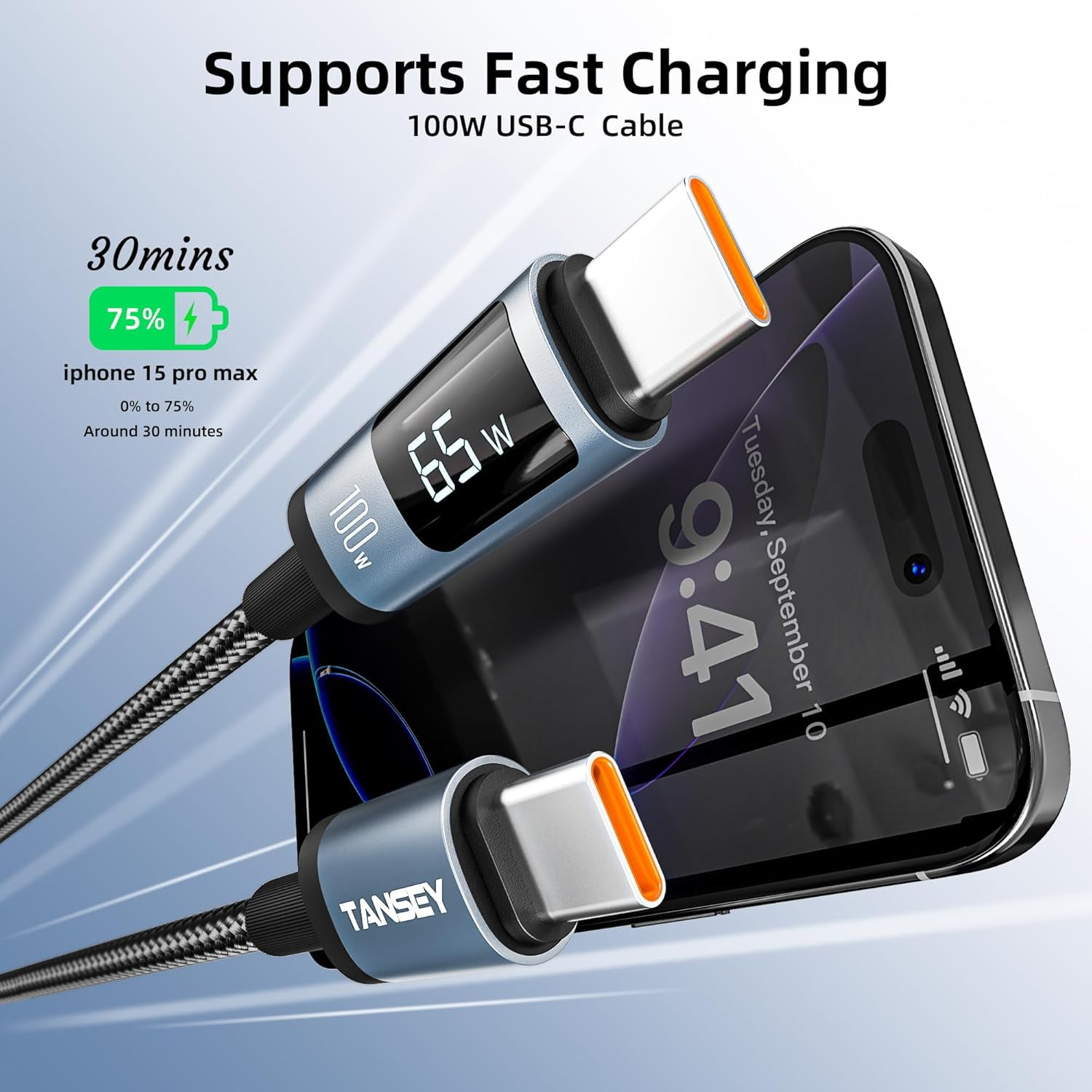 GHRTGR-USB C to USB C Cable, Type C 100watt Fast Charging Cable with ...