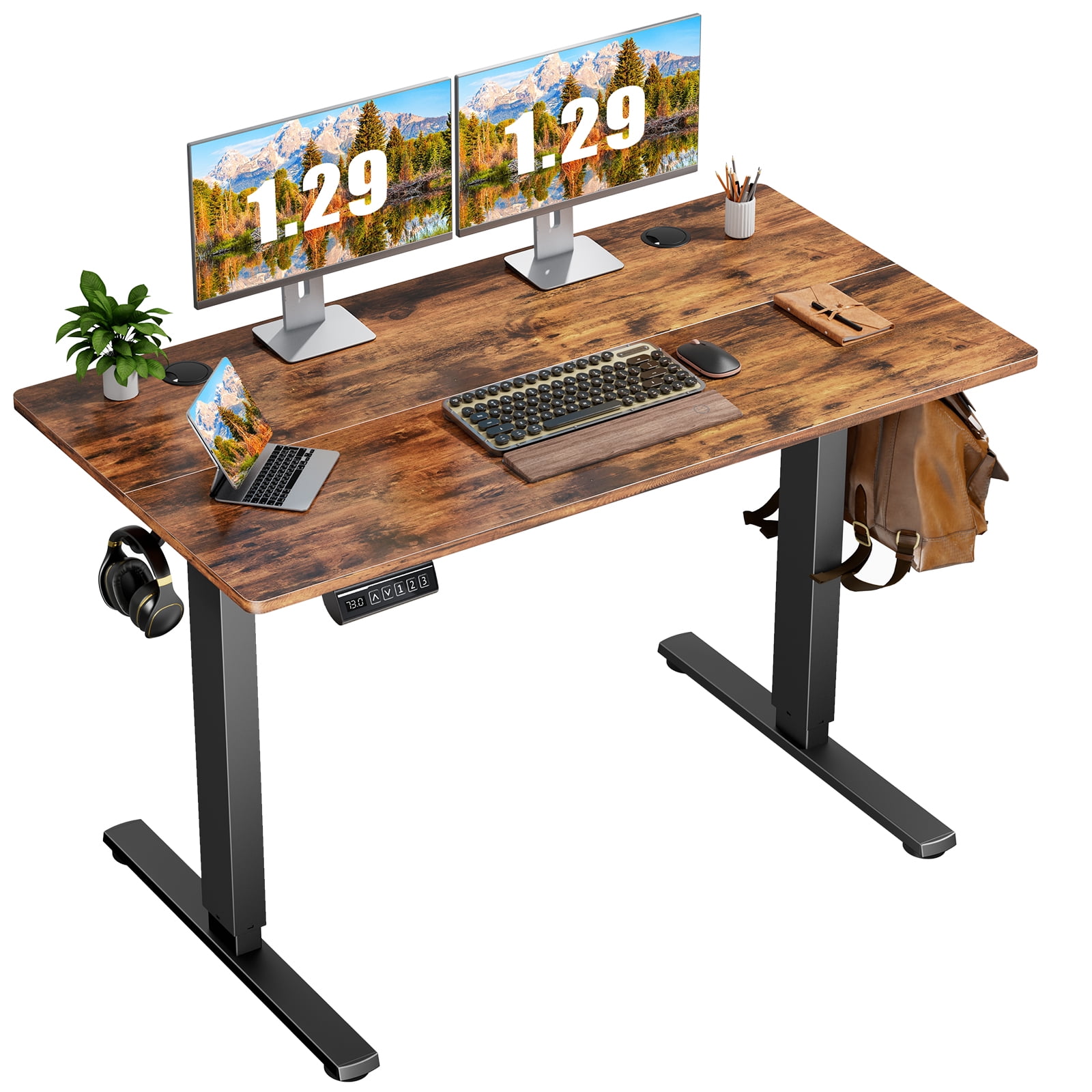 CONCETTA Electric Adjustable Height Standing Desk - 48 x 24 inch Sit to ...