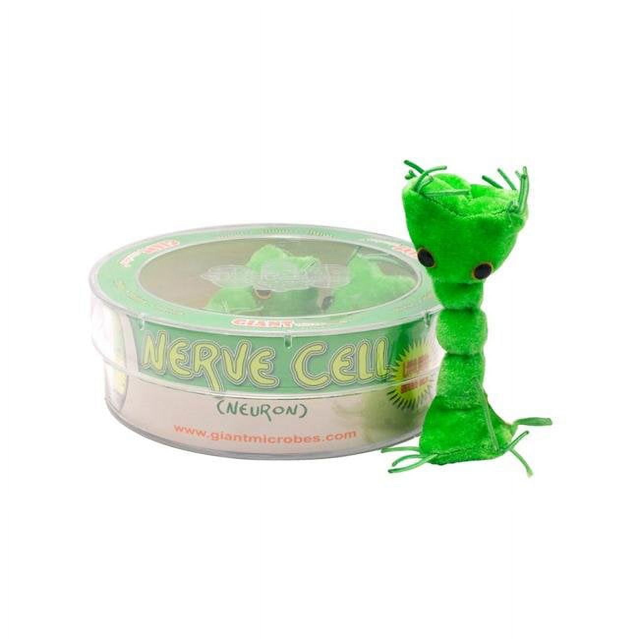 GIANT Microbes 1490365 Nerve Cell Petri Dish - 3 Mini Plush Microbes ...