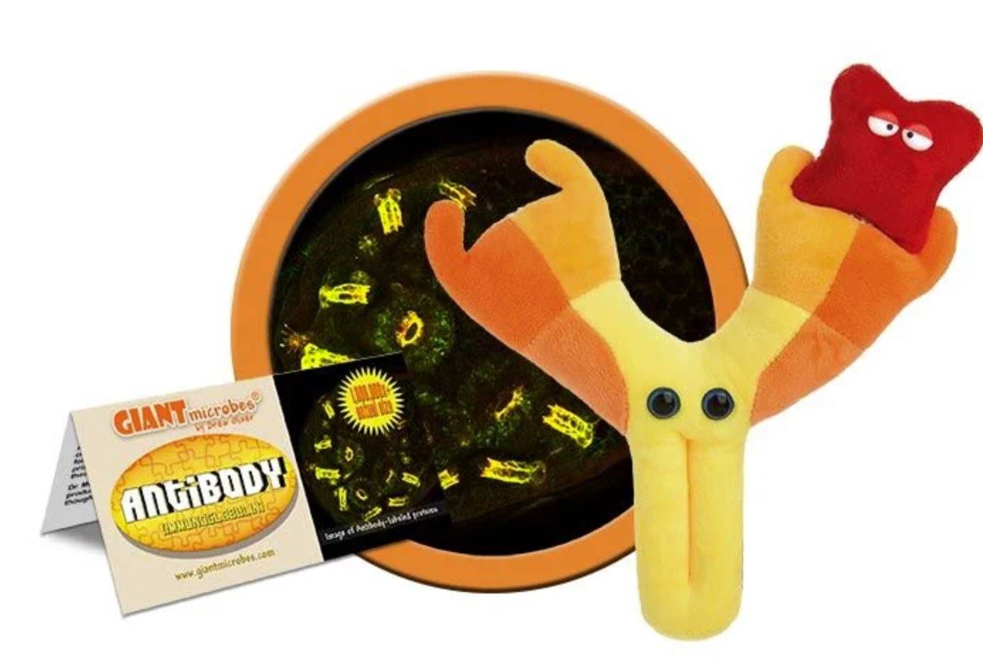 GIANTmicrobes Antibody Plush - Educational Get Well Gift, Makes Science ...