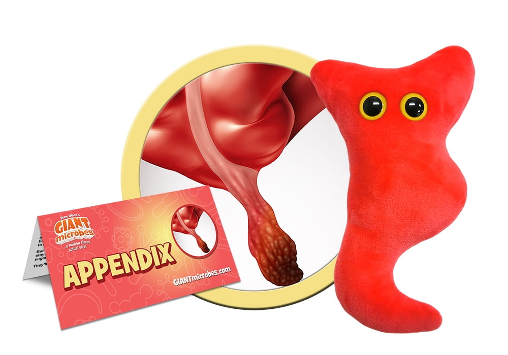GIANTmicrobes Appendix Plush - Organ Toy, Unique Get Well Gift for Post ...