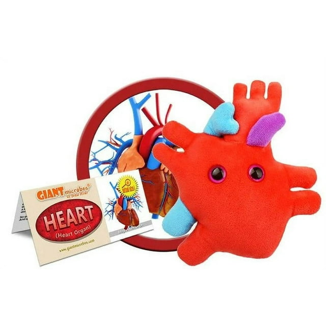 GIANTmicrobes Heart Organ Plush - Adorably Realistic Plush Heart Organ ...