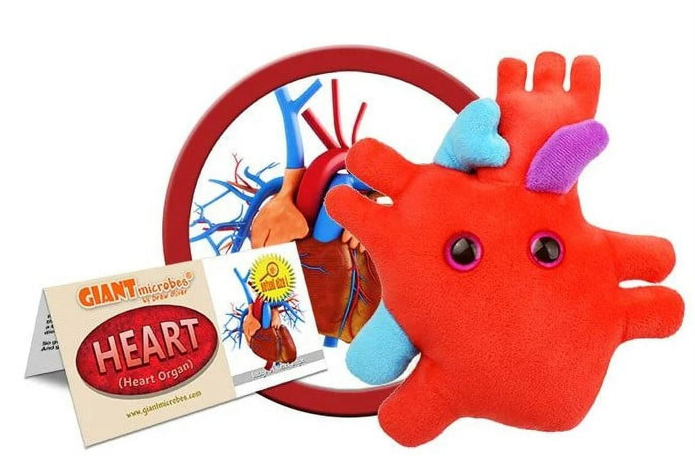 GIANTmicrobes Heart Organ Plush - Adorably Realistic Plush Heart Organ ...