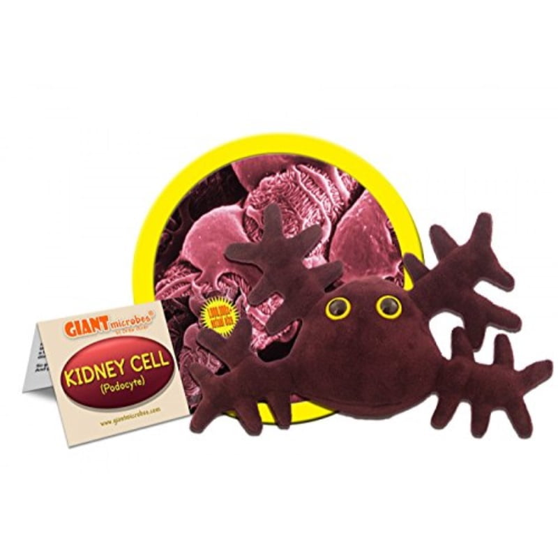 GIANTmicrobes Kidney Cell (Podocyte) Plush Toy - Walmart.com