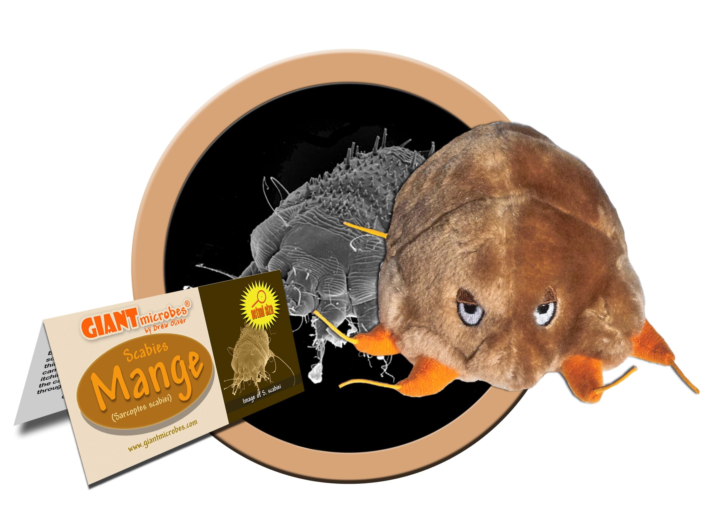 GIANTmicrobes Mange Plush - KEF16 Learn about Mites and Cause Skin ...