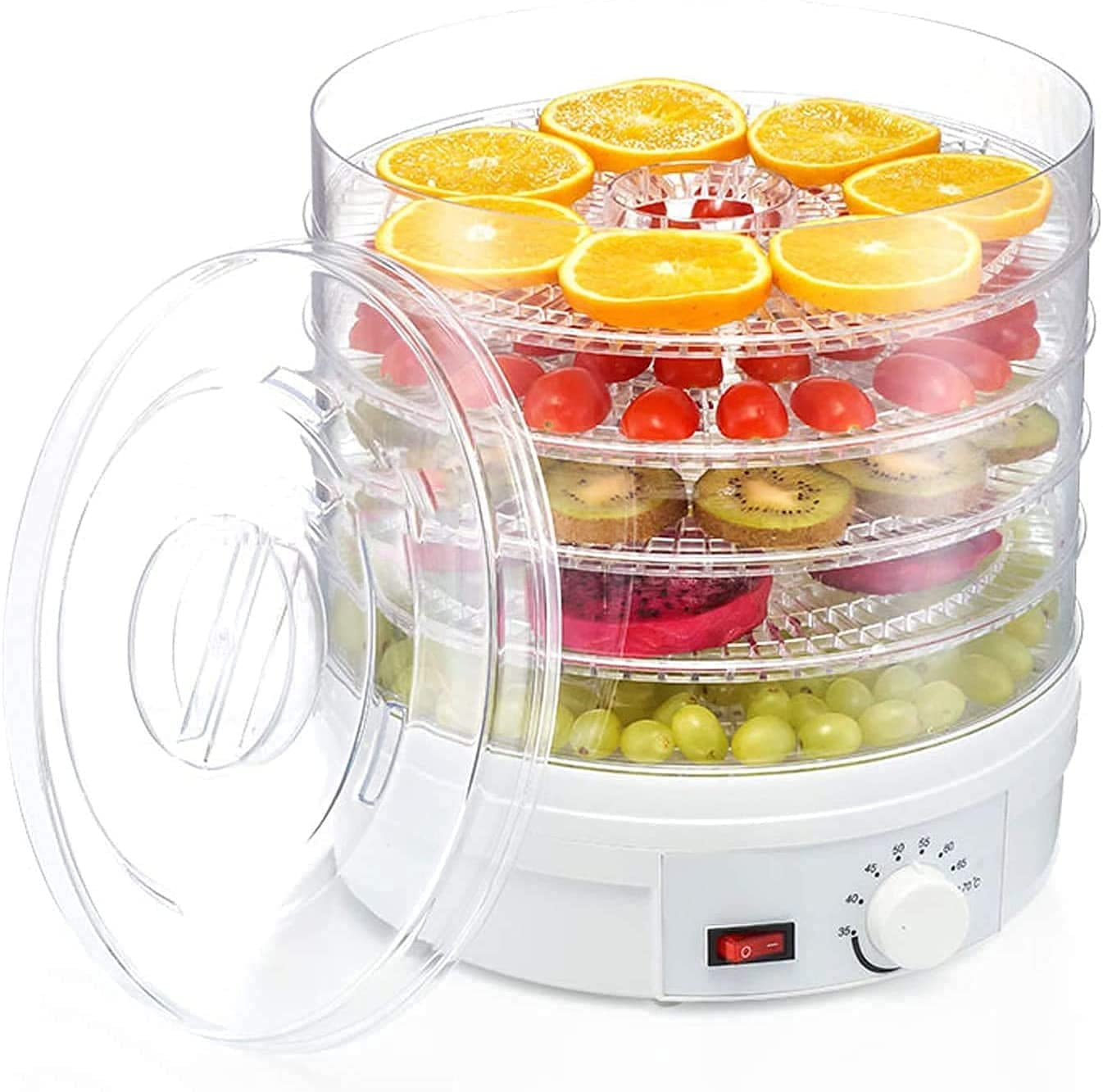 GION Food Dehydrator 350W Electric Food Dryer Machine with 5 Trays Food ...