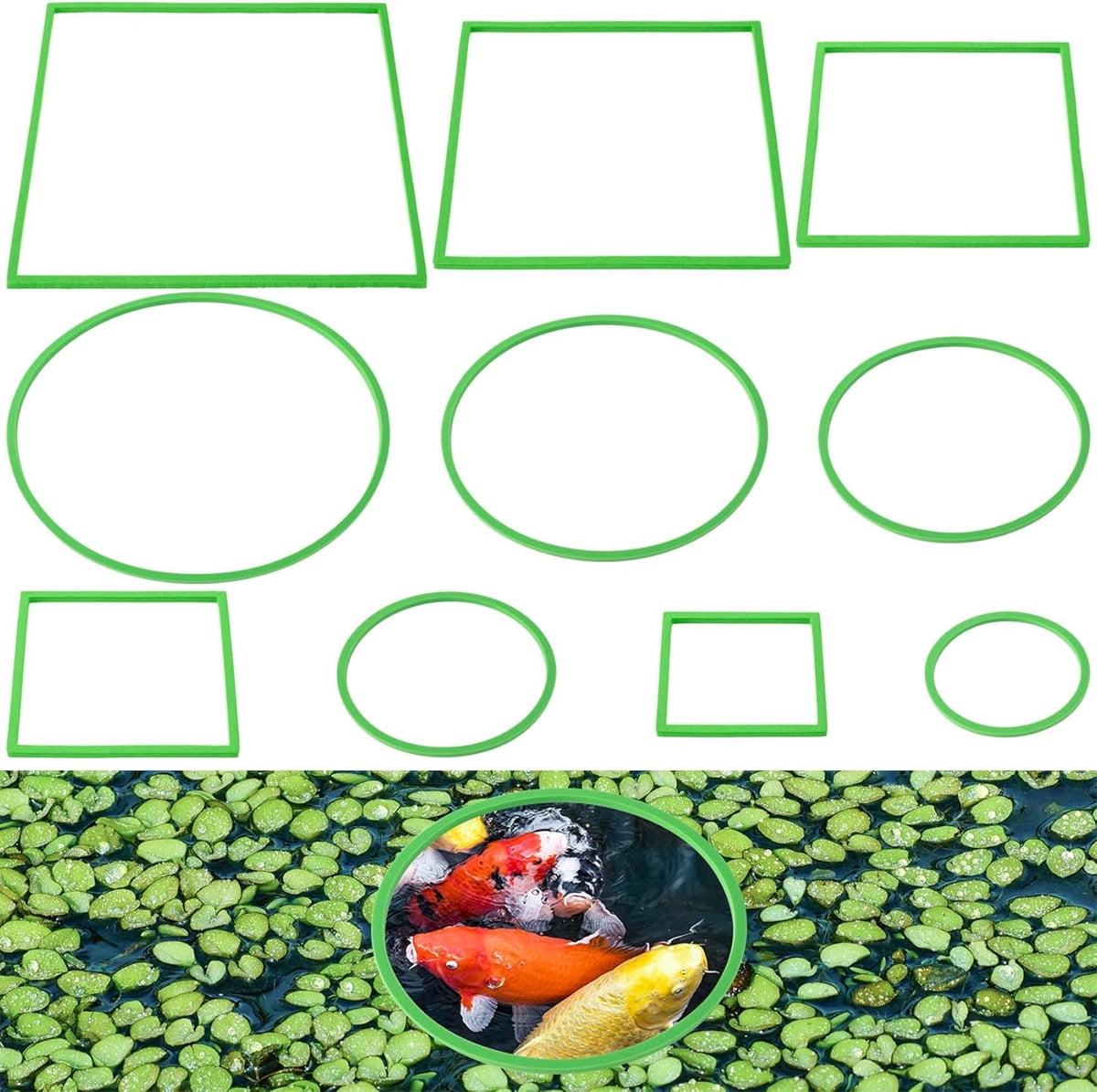 GIXUSIL 10Pcs Floating Plant Ring, Fish Feeding Ring, 10 Sizes Round ...