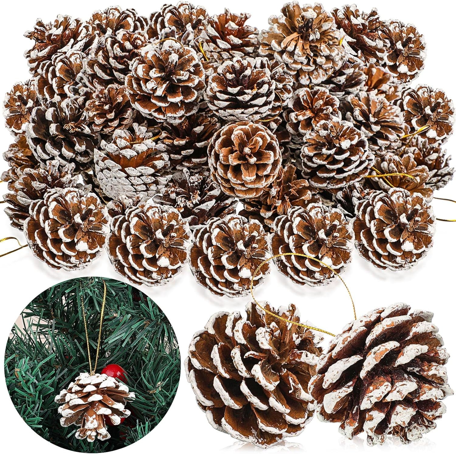 GIXUSIL 36 Pack Frosting Pine Cones, 2 in Pinecone Ornaments, Natural ...