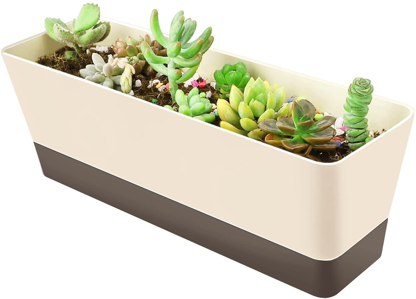 GIXUSIL Planter Windowsill Box, 12x3.8 Inch Herb Rectangle with Tray ...