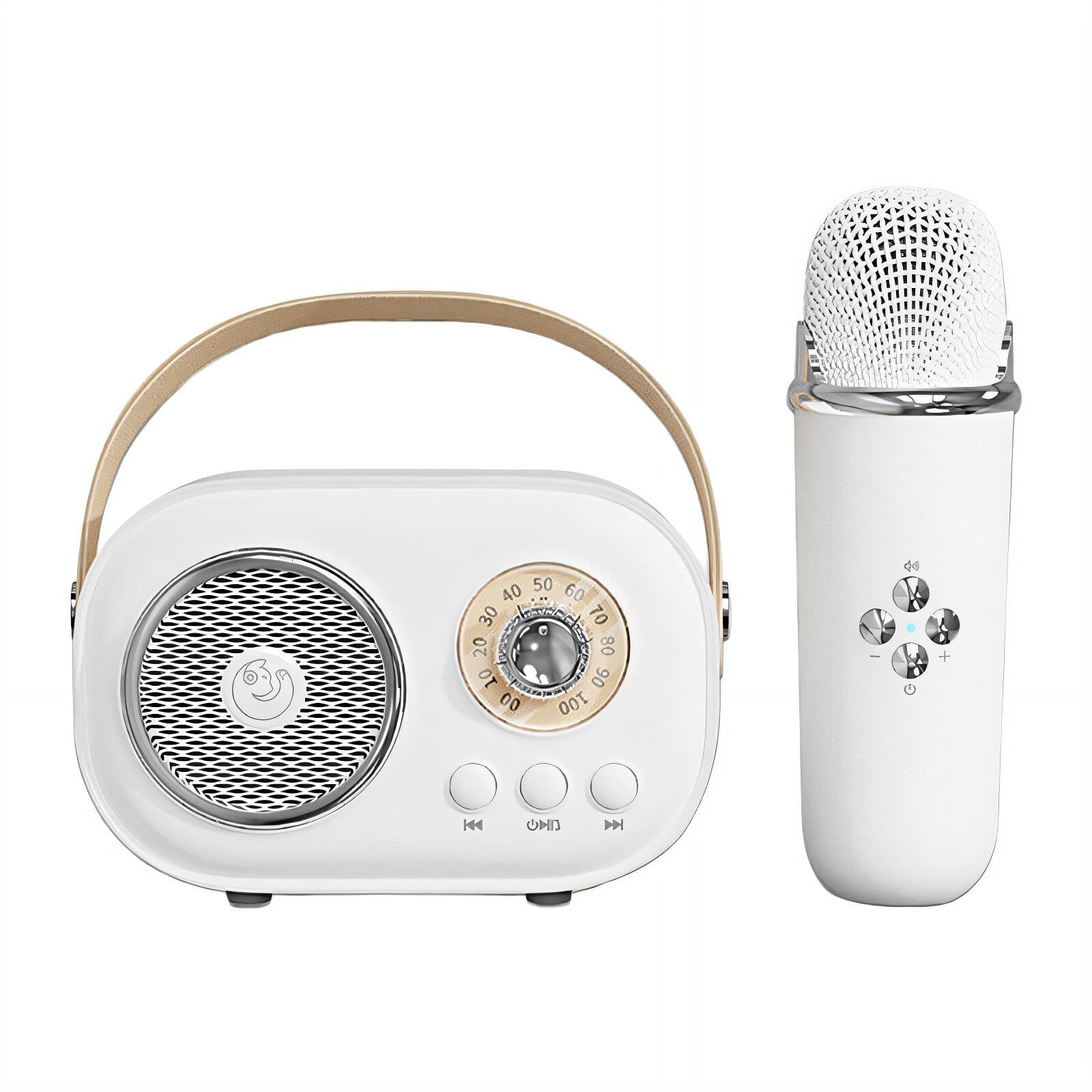 GJX 2 Pcs Audio Microphone Set,High-Definition Sound Quality Speakers ...