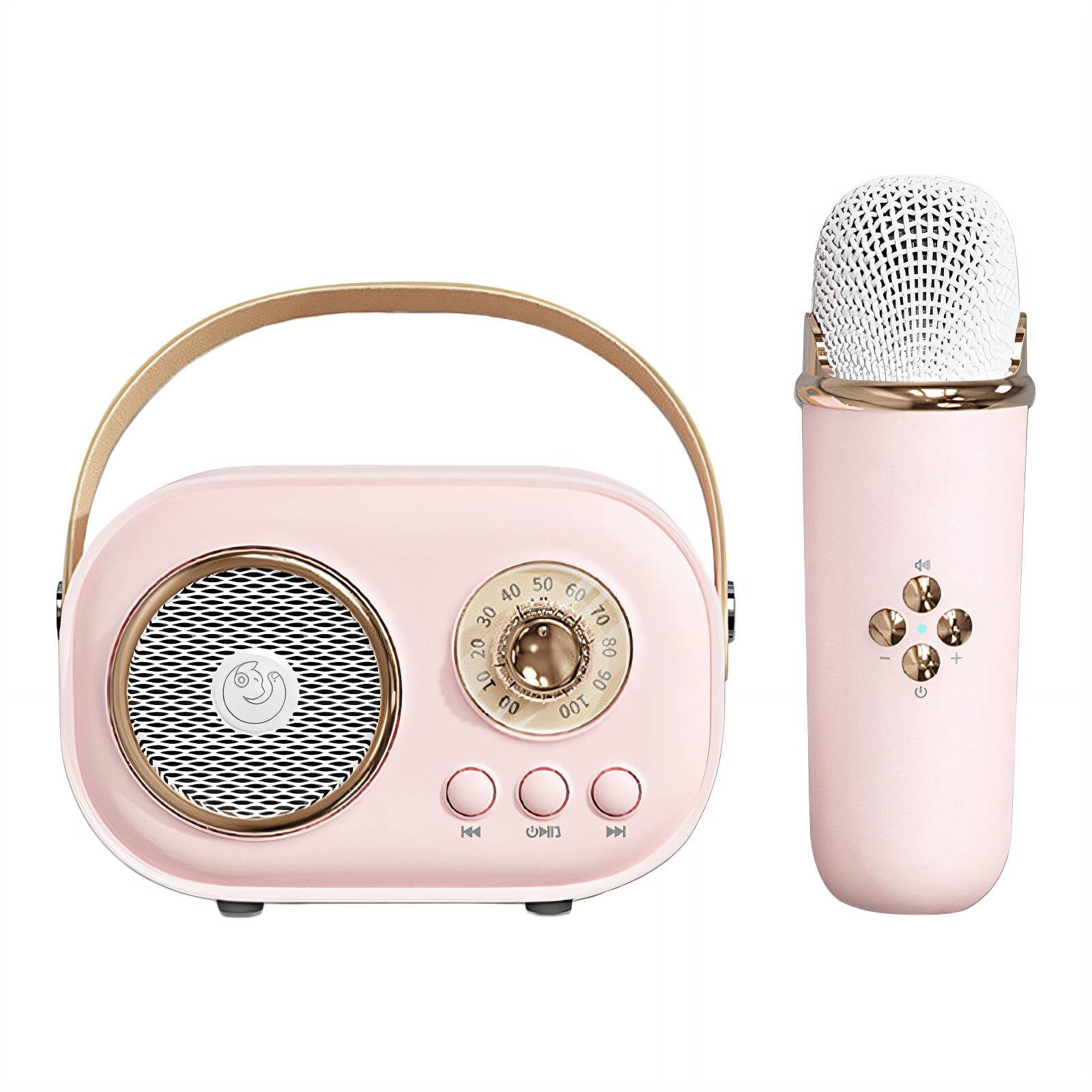 GJX 2 Pcs Audio Microphone Set,High-Definition Sound Quality Speakers ...