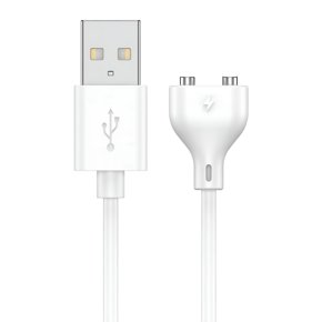 Vibrator Charger