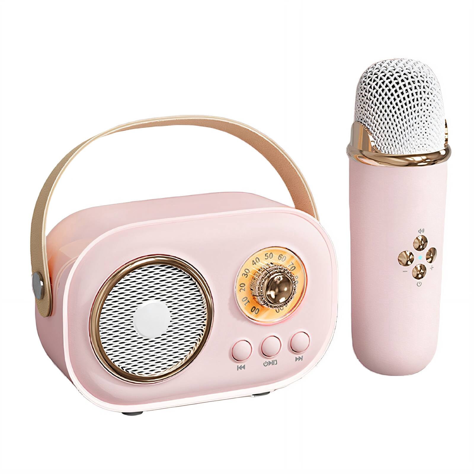 GJX Audio Microphone Set,High-Definition Sound Quality Audio,Long ...