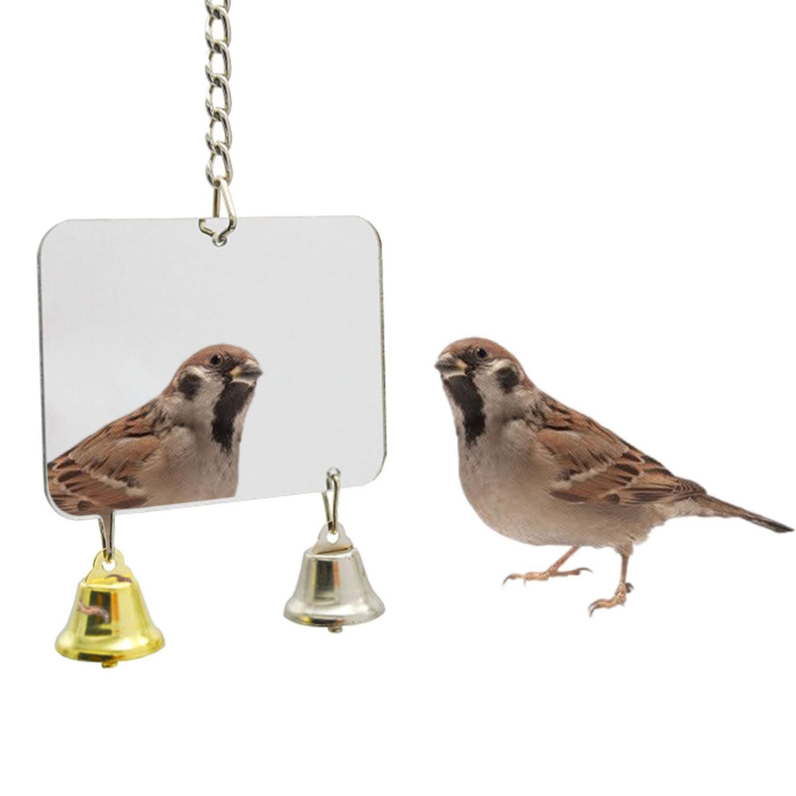 GJX Bird Cage Mirror Hanging Bell Anti Broken For Turtle Pigeons ...