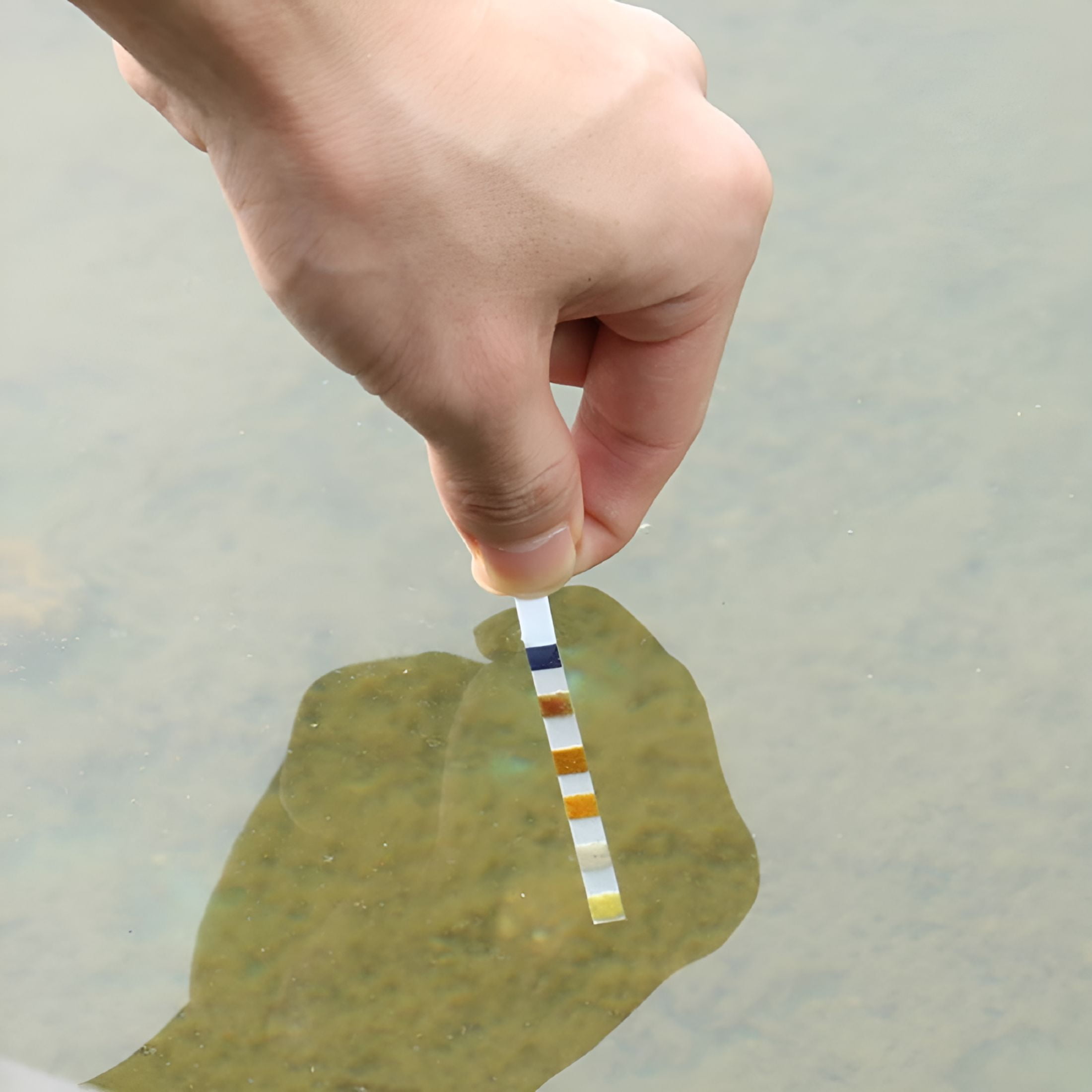 GJX Hot Tub Test Strips Portable Water Testing Kit Designed For ...