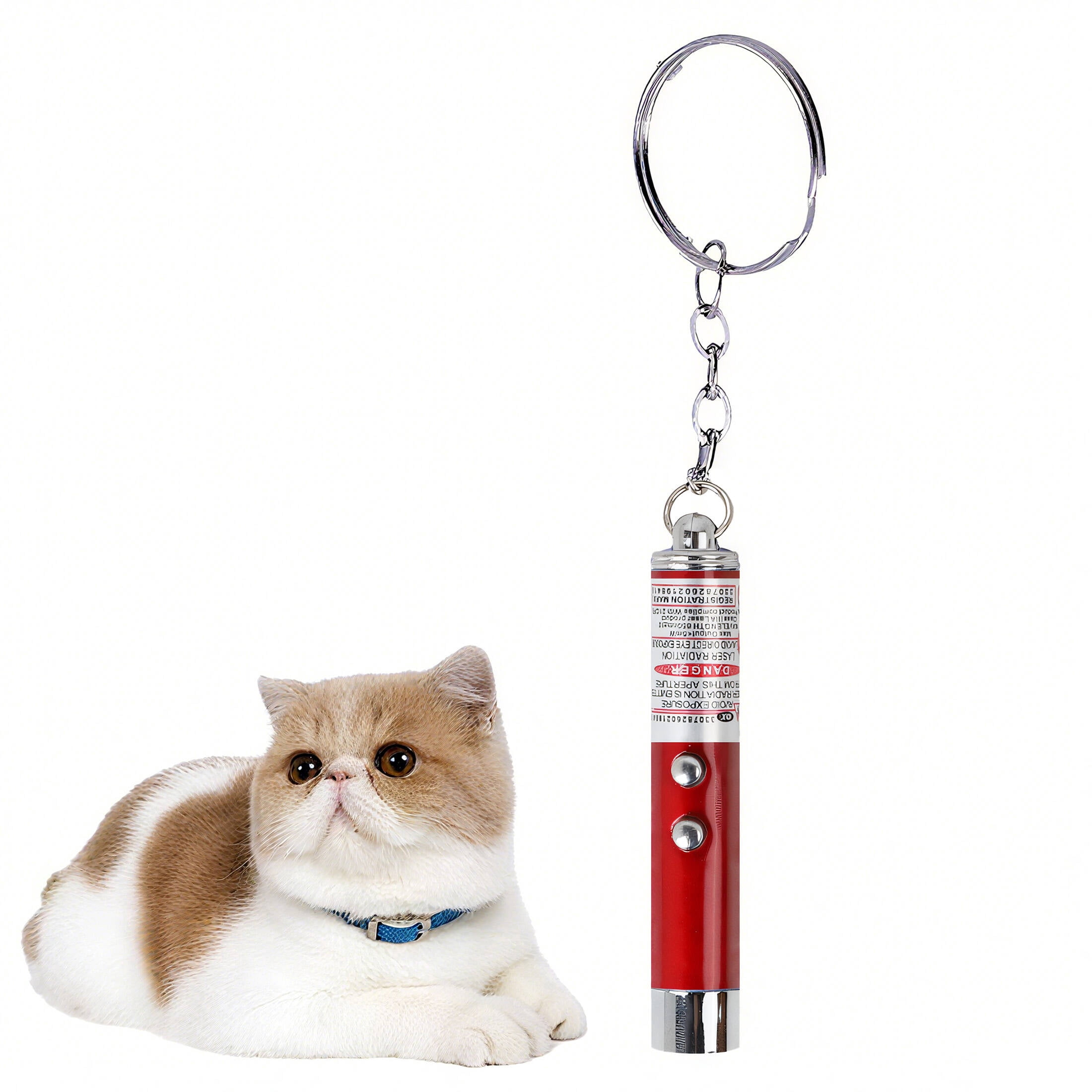 GJX Laser Pointer Enhance Cat Activities Kitten Toys for Indoor Kittens ...