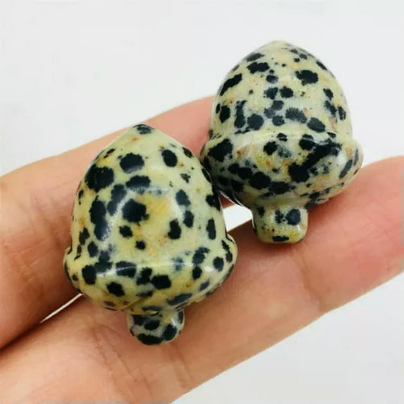 GKNET 10PCS Natural Stone Mixed Quartz Hand Carved Pine Nuts Crystal ...