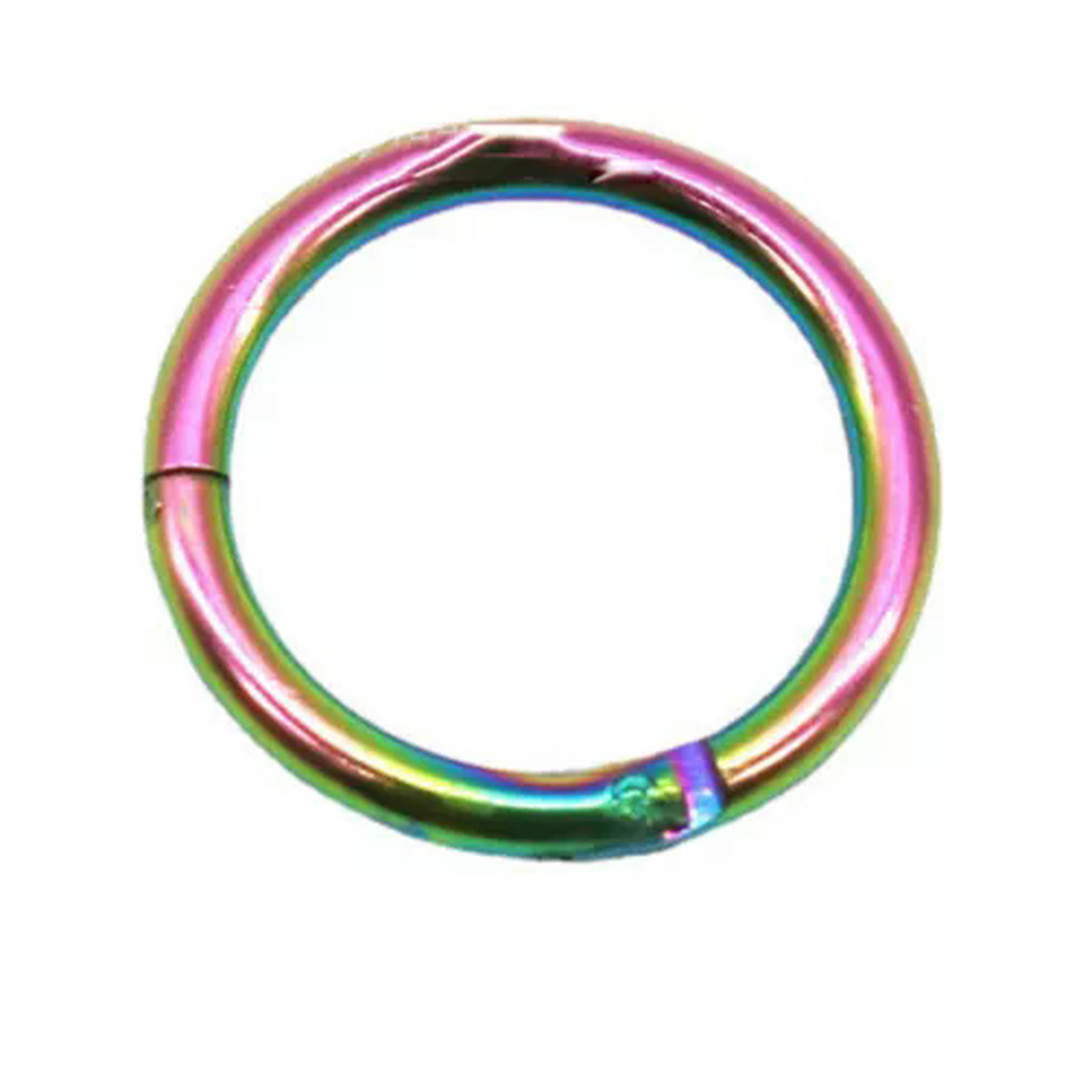 GKNET Piercing Septum Clicker Titanium Segment Ring Hinge Nose Lip Ear ...