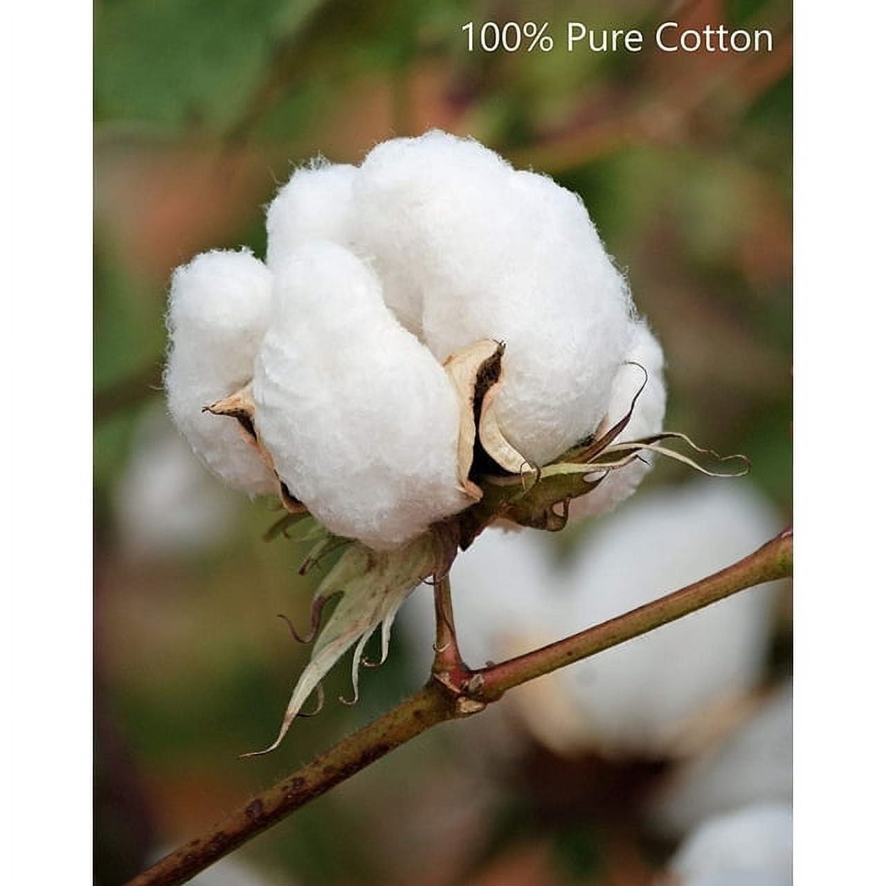 GLAMBURG Ultra Soft 6 Pack Cotton Towel Set, Contains 2 Bath Towels ...