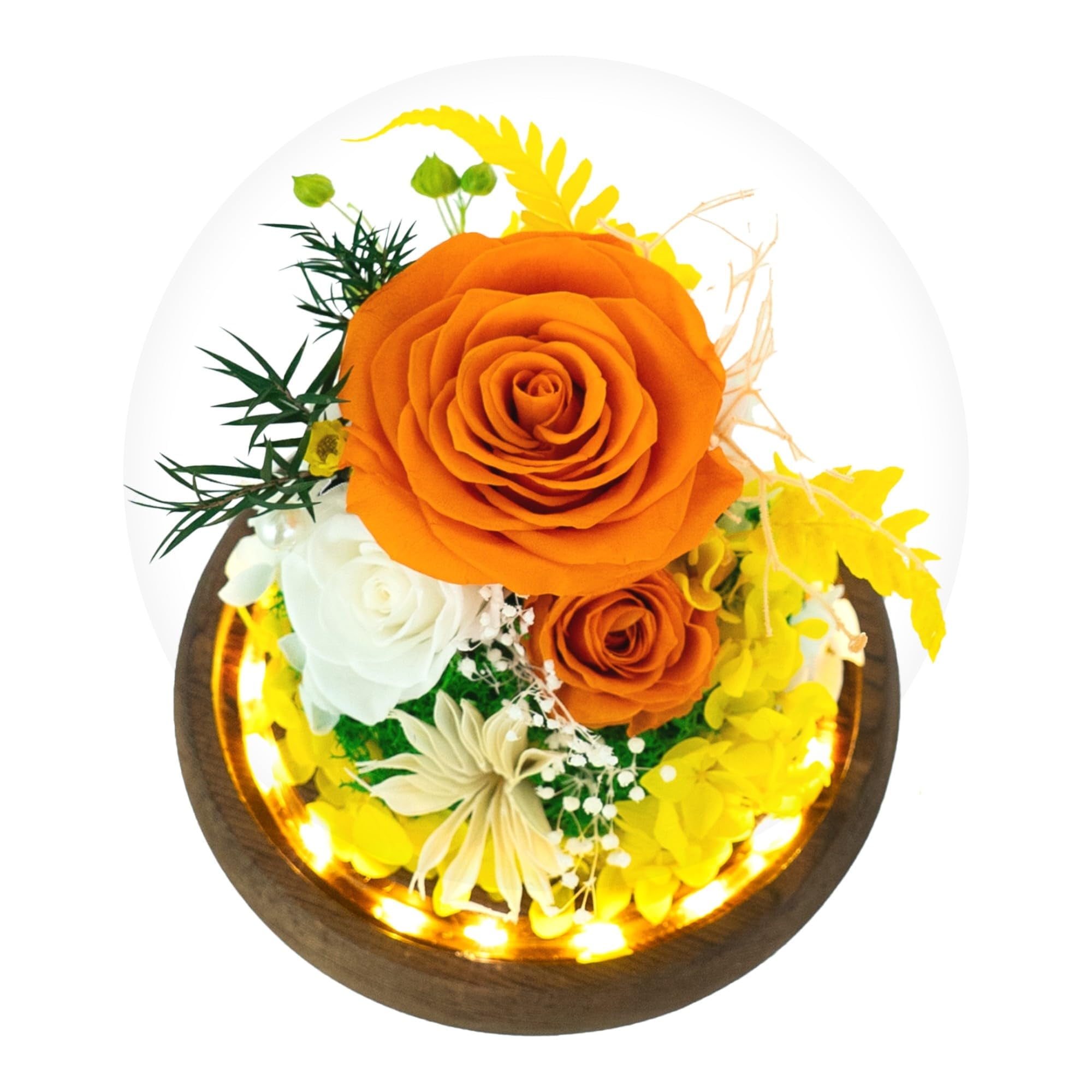 GLAMOUR BOUTIQUE Preserved Flowers Rose in Glass Dome w/Light - Long ...