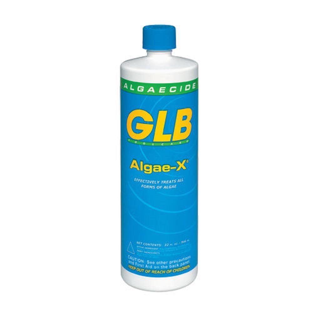 GLB 71100 Algae-X 1-Quart Algae-X Algaecide for Swimming Pool or Spa ...
