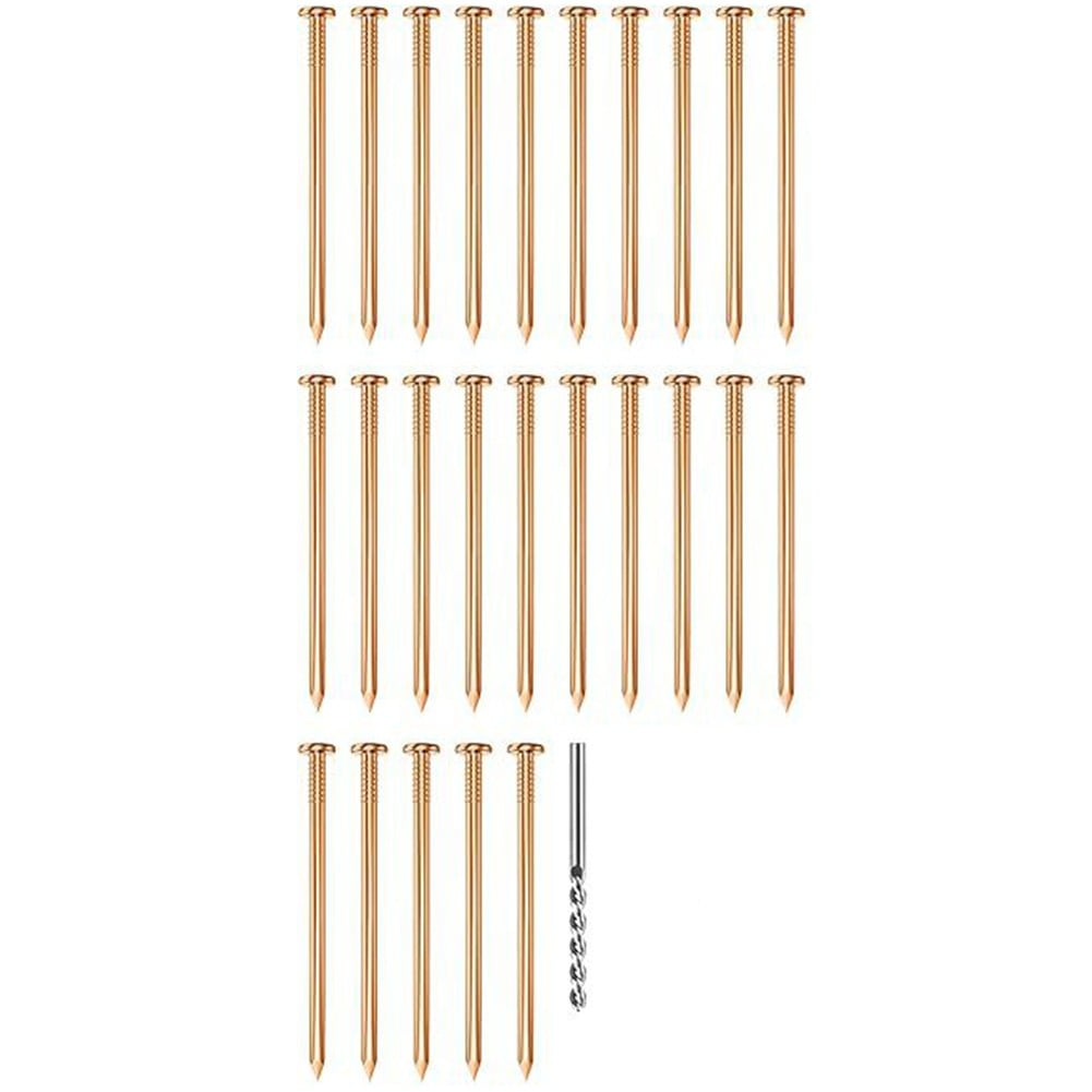 GLFILL Copper Nails Kill Trees Nail Tree Stumps Remove Nails 25PCs ...