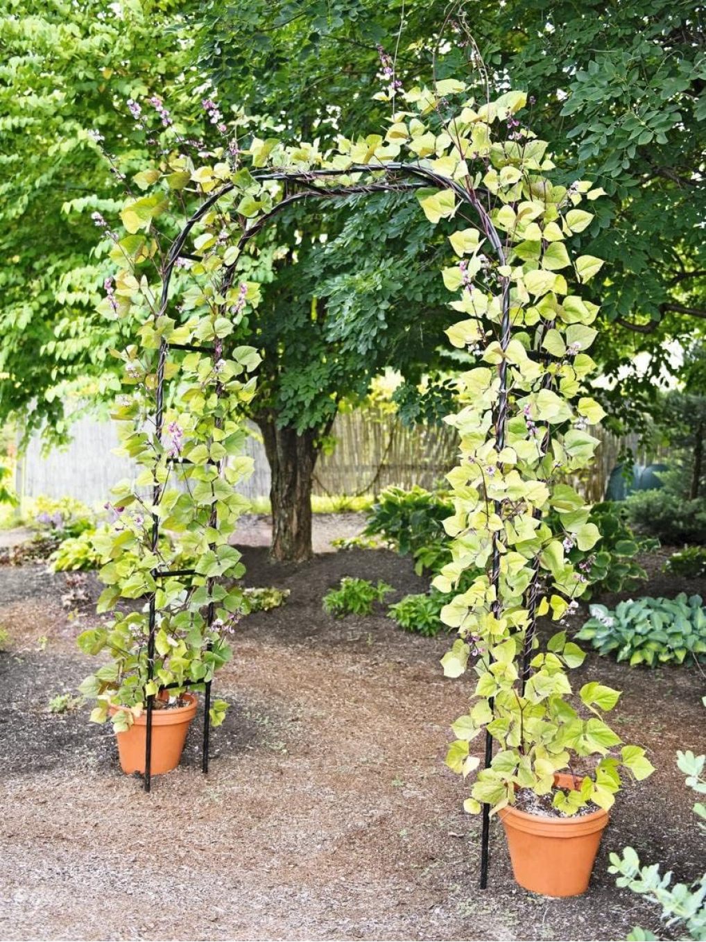 GLGF Titan Arch Arbor Garden Trellis | Sturdy Tall Garden Arch Plant ...