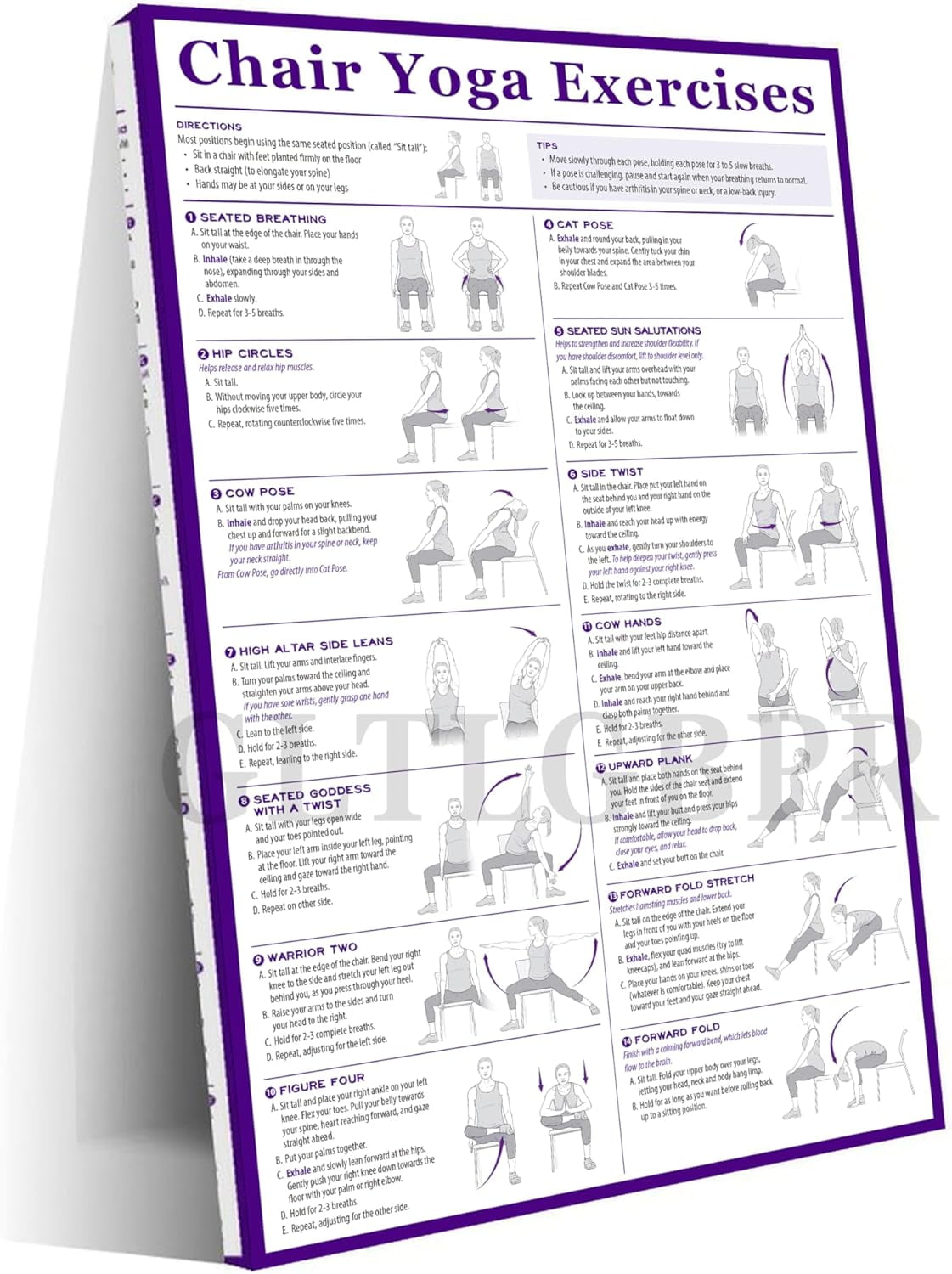 GLTLGBPR Chair Yoga Guide Poster Chair Exercise Chart for Seniors Wall ...