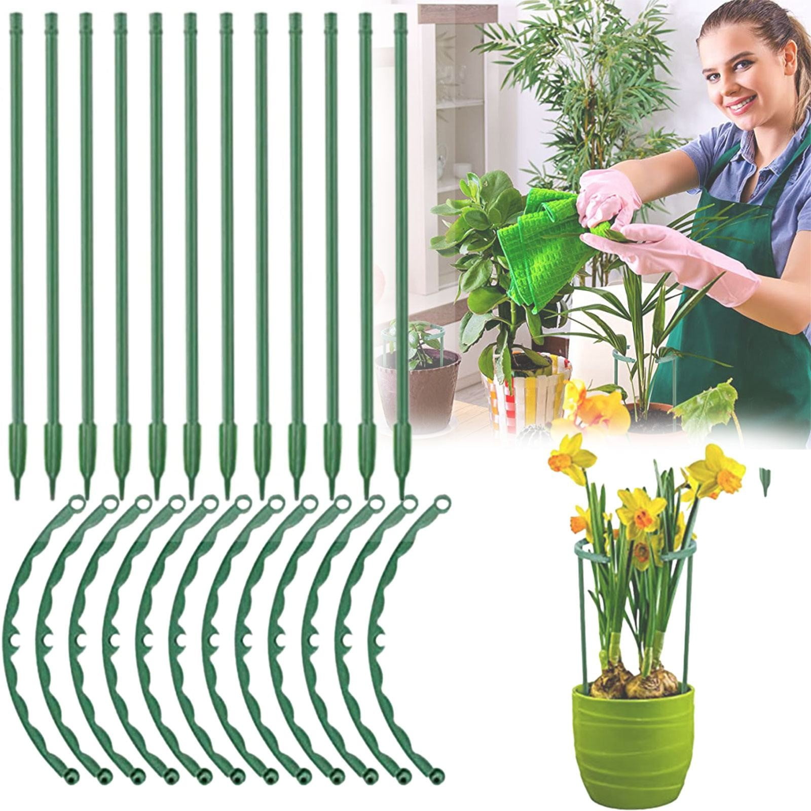 GLVSZ Clearance Plant Support Plant Stakes,Half Round Plant Support ...