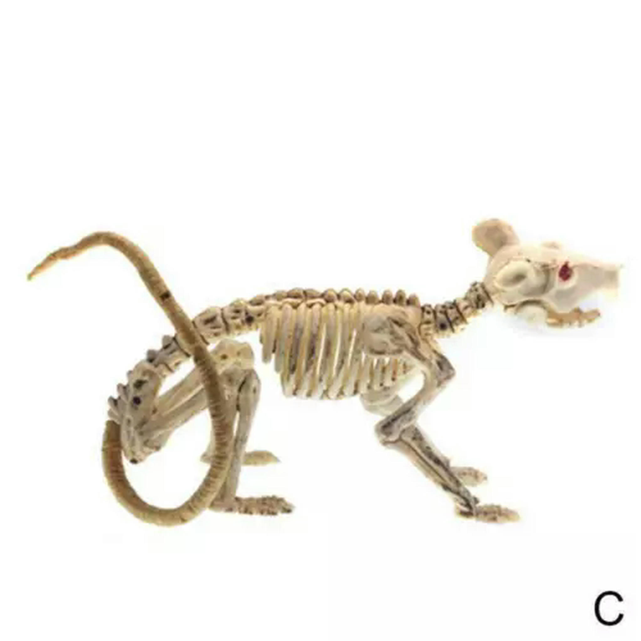 GLZMDL1 Halloween Decoration Animal Skeleton Bone Prop Party Spider ...