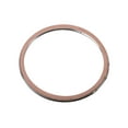 GM 12672379 Catalytic Converter Gasket - Walmart.com